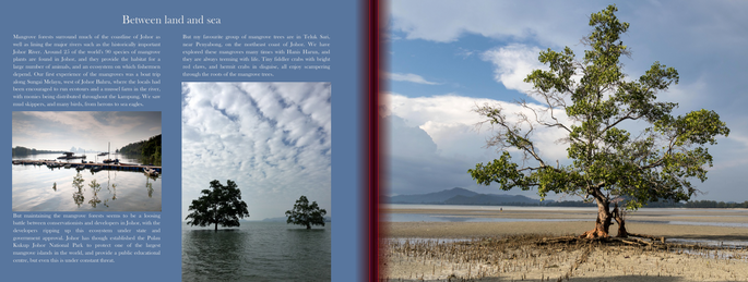 Between land and sea. | Helen Gray